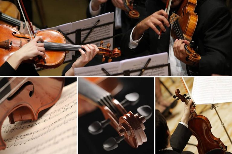 Violin Injury Specialist in Brooklyn NYC · Pain Physicians NY