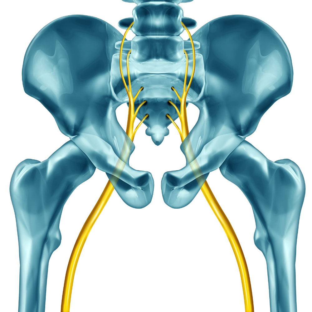 Ilioinguinal Nerve Ilioinguinal Nerve NYSORA